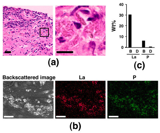 Diagnostics | Special Issue : Imaging-Histopathology Correlation