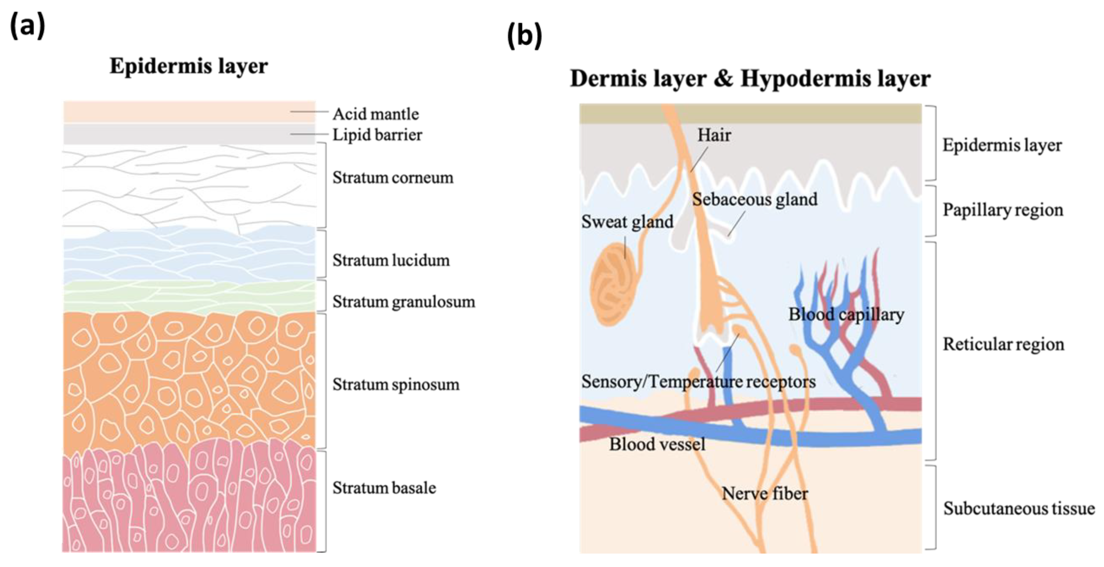 Role of pH Value in Clinically Relevant Diagnosis