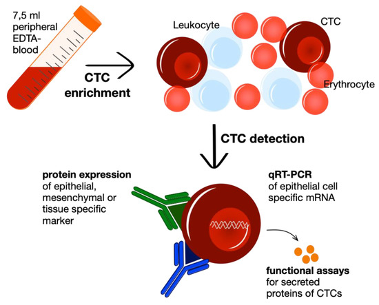 Diagnostics | Free Full-Text | Clinical Significance of Circulating ...