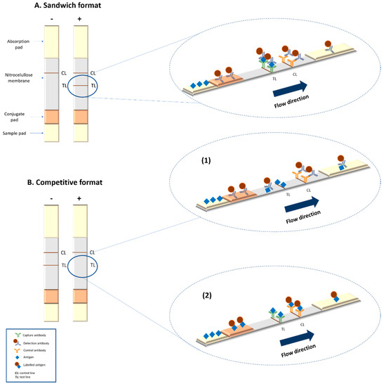 Diagnostics | Free Full-Text | Magnetic Lateral Flow Immunoassays