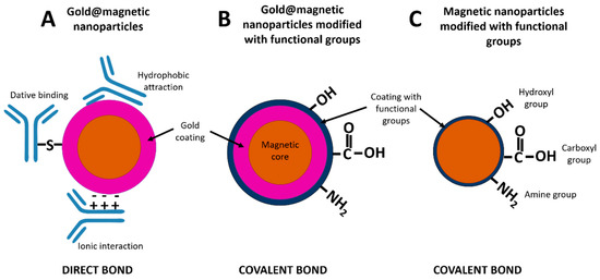 Magnetic Lateral Flow Immunoassays