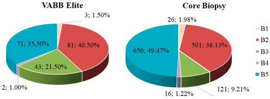 Elite VABB 13G: A New Ultrasound-Guided Wireless Biopsy System for ...