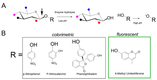 Emerging Approaches for Fluorescence-Based Newborn Screening of ...