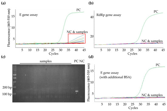 Optimization of the CDC Protocol of Molecular Diagnosis of COVID-19 for ...