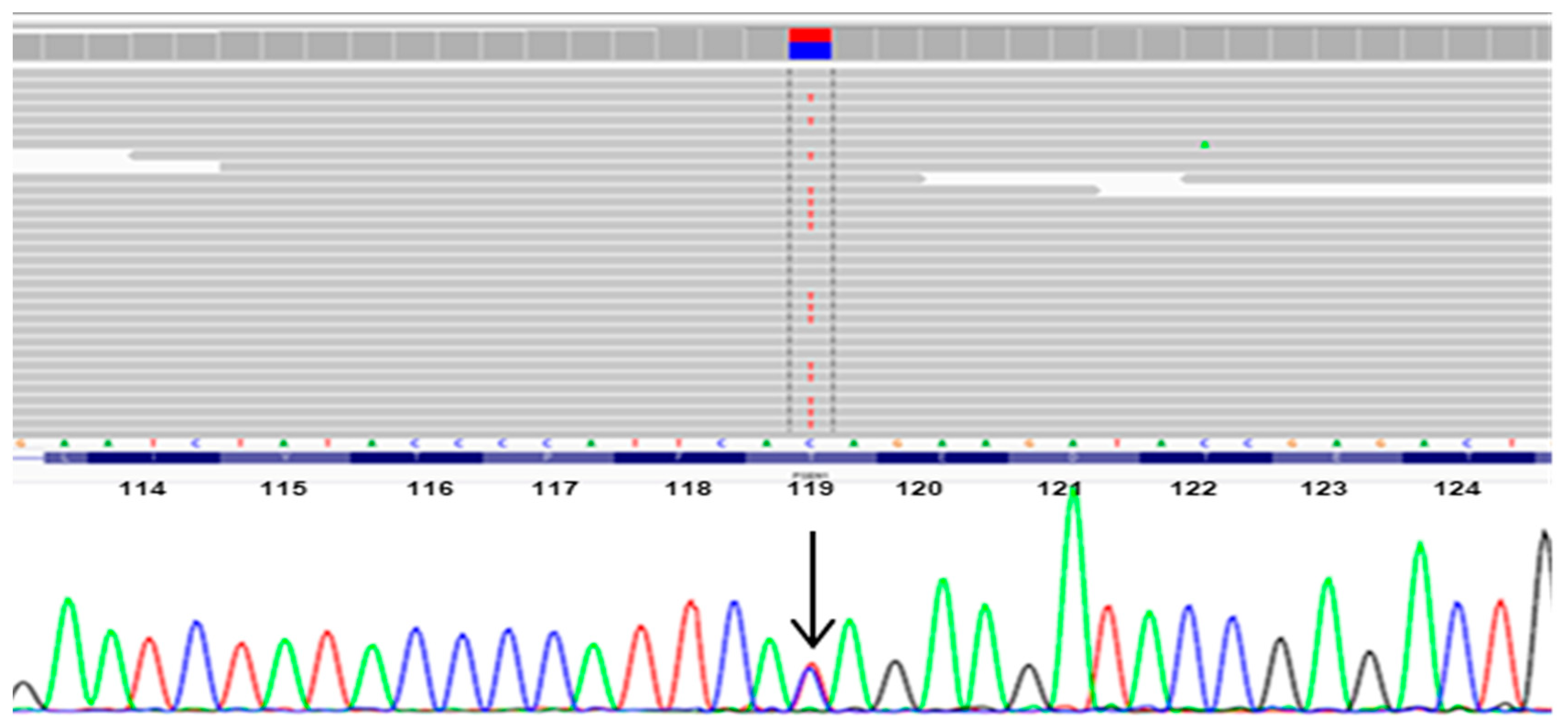 Pathogenic PSEN1 Thr119Ile Mutation in Two Korean Patients with Early ...