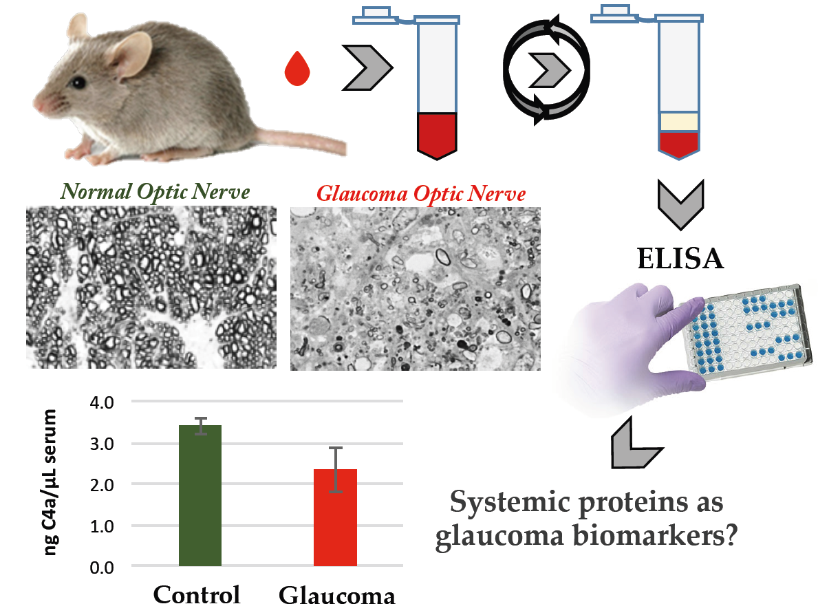 Diagnostics | Free Full-Text | Systemic Alterations of Immune Response ...