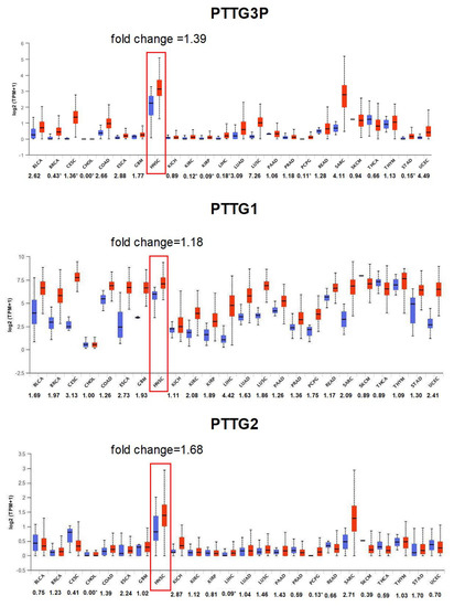 The Oncogenic Roles of PTTG1 and PTTG2 Genes and Pseudogene PTTG3P in Head and Neck Squamous ...