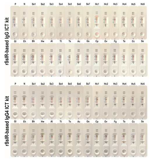 Effectiveness of Strongyloides Recombinant IgG Immunoreactive Antigen ...