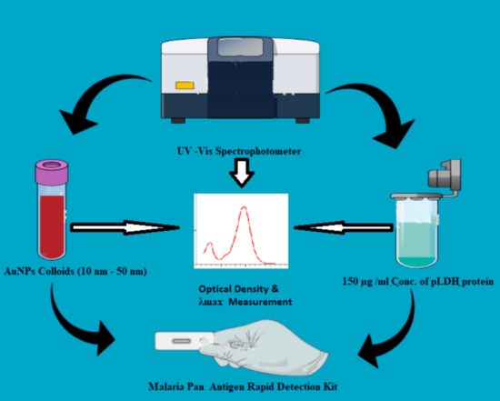 Diagnostics | Special Issue : Point-of-Care Detection Devices for ...
