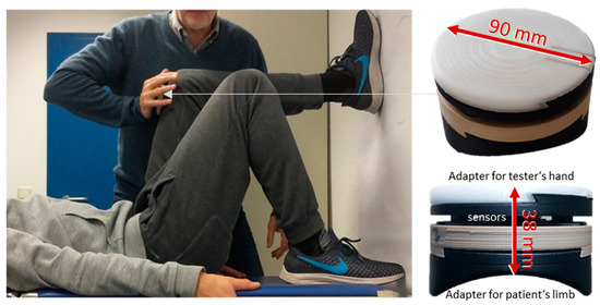 Manual Muscle Testing—Force Profiles and Their Reproducibility