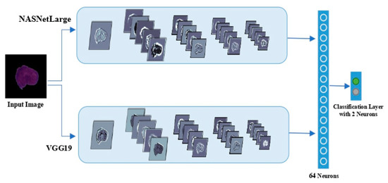 Diagnostics | Special Issue : Deep Learning for Computer-Aided ...