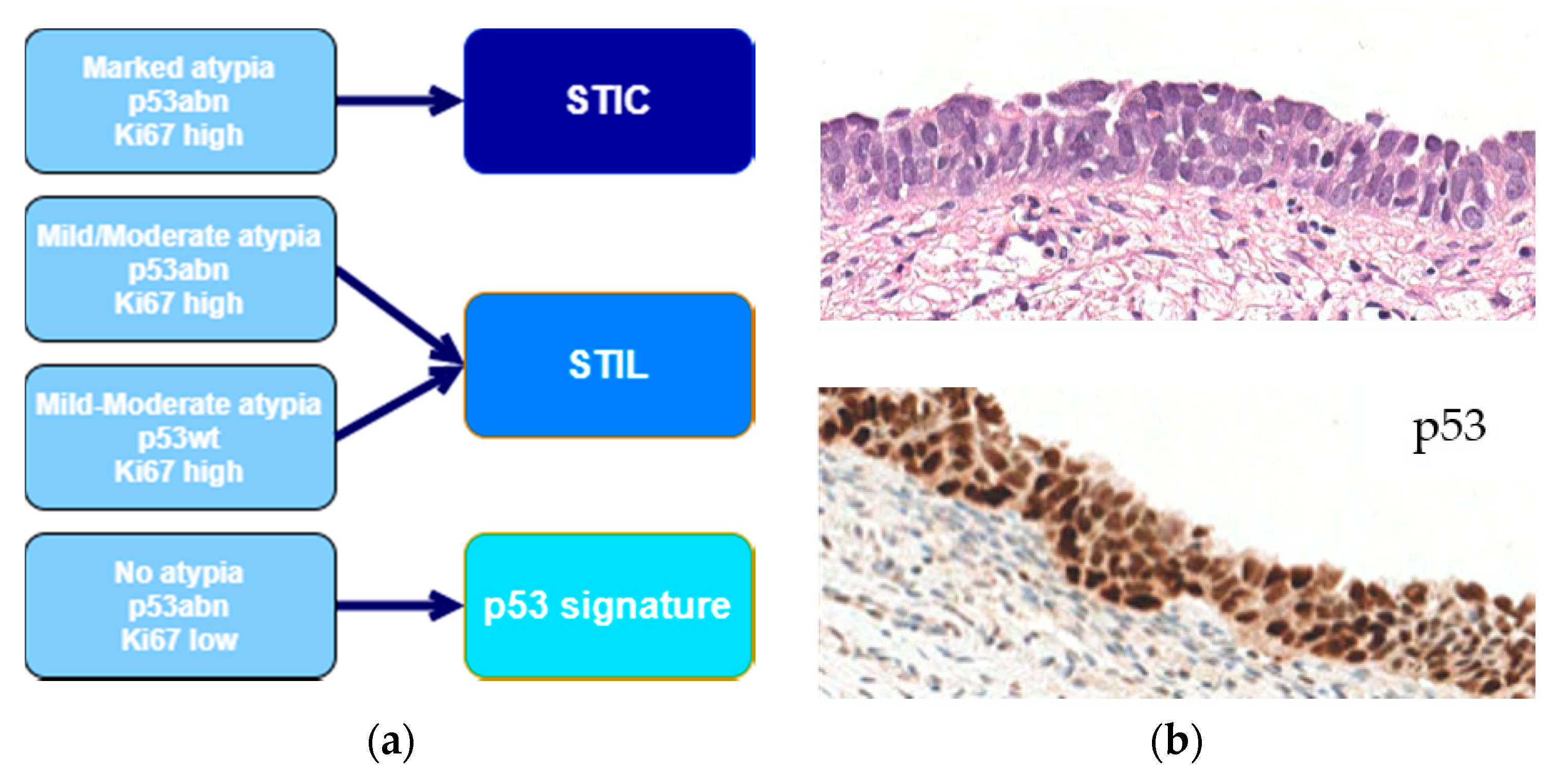 Immunohistochemical Biomarkers as a Surrogate of Molecular Analysis in ...