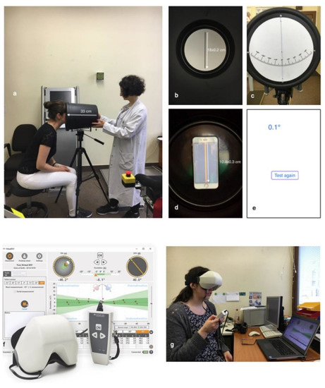 Methods for Testing the Subjective Visual Vertical during the Chronic ...