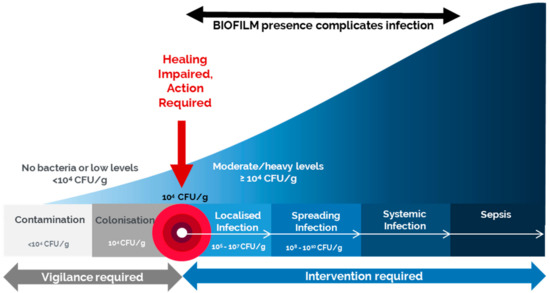 Diagnostics | Free Full-Text | Diagnosing Burn Wounds Infection: The ...