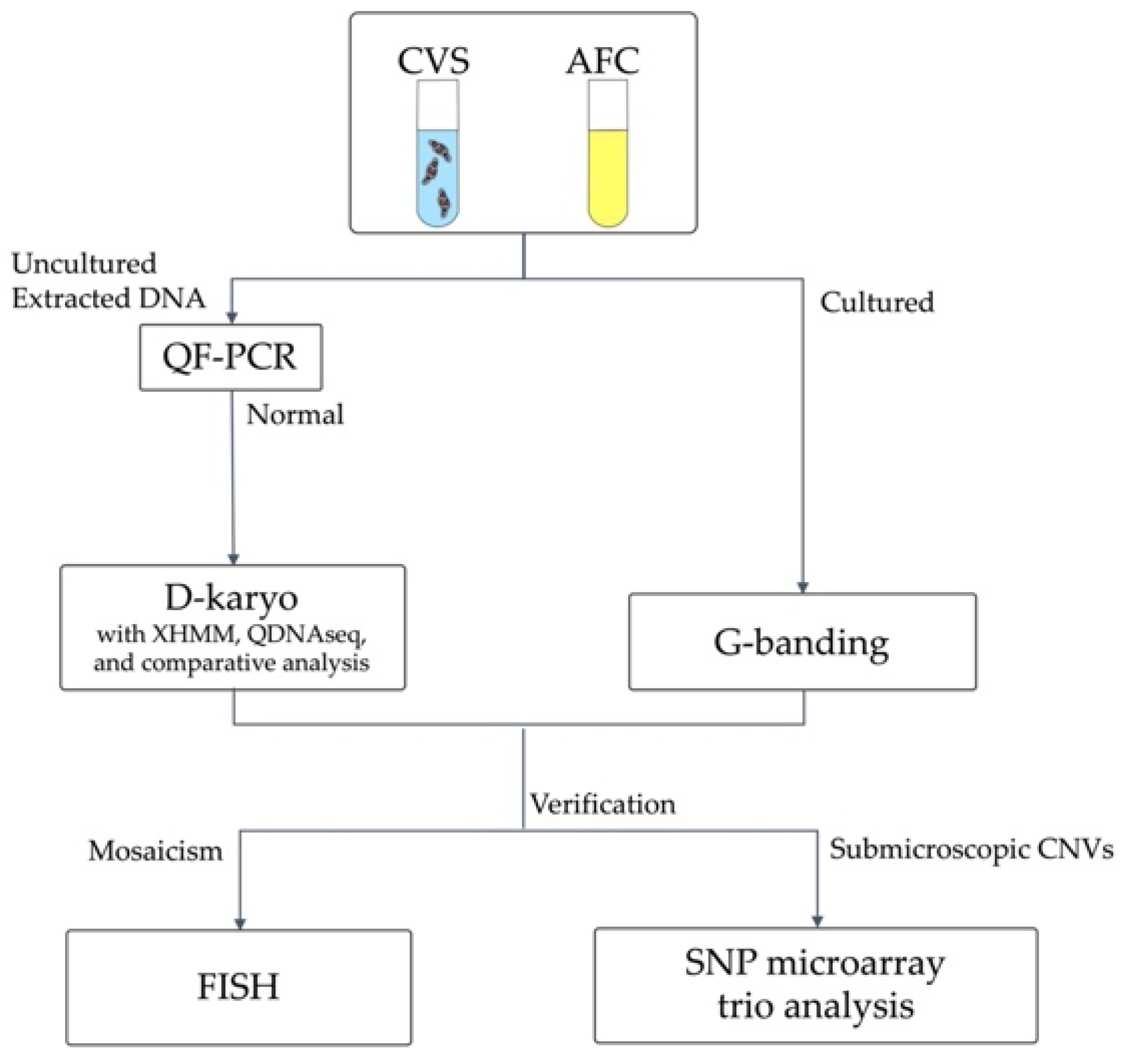 Qfpcr Prenatal Diagnosis Of Aneuploidies And Microdelation/duplication