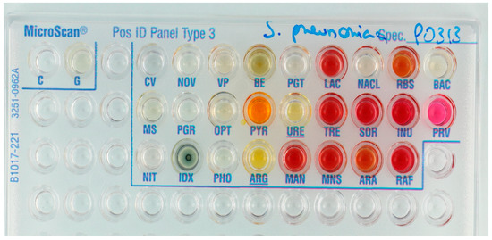 Evaluation of MicroScan Bacterial Identification Panels for Low ...
