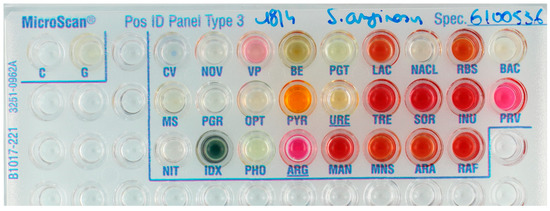 Evaluation of MicroScan Bacterial Identification Panels for Low ...