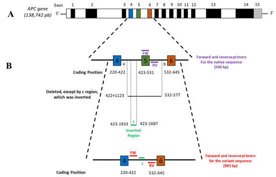Diagnostics | Free Full-Text | Identification of a Novel Pathogenic ...