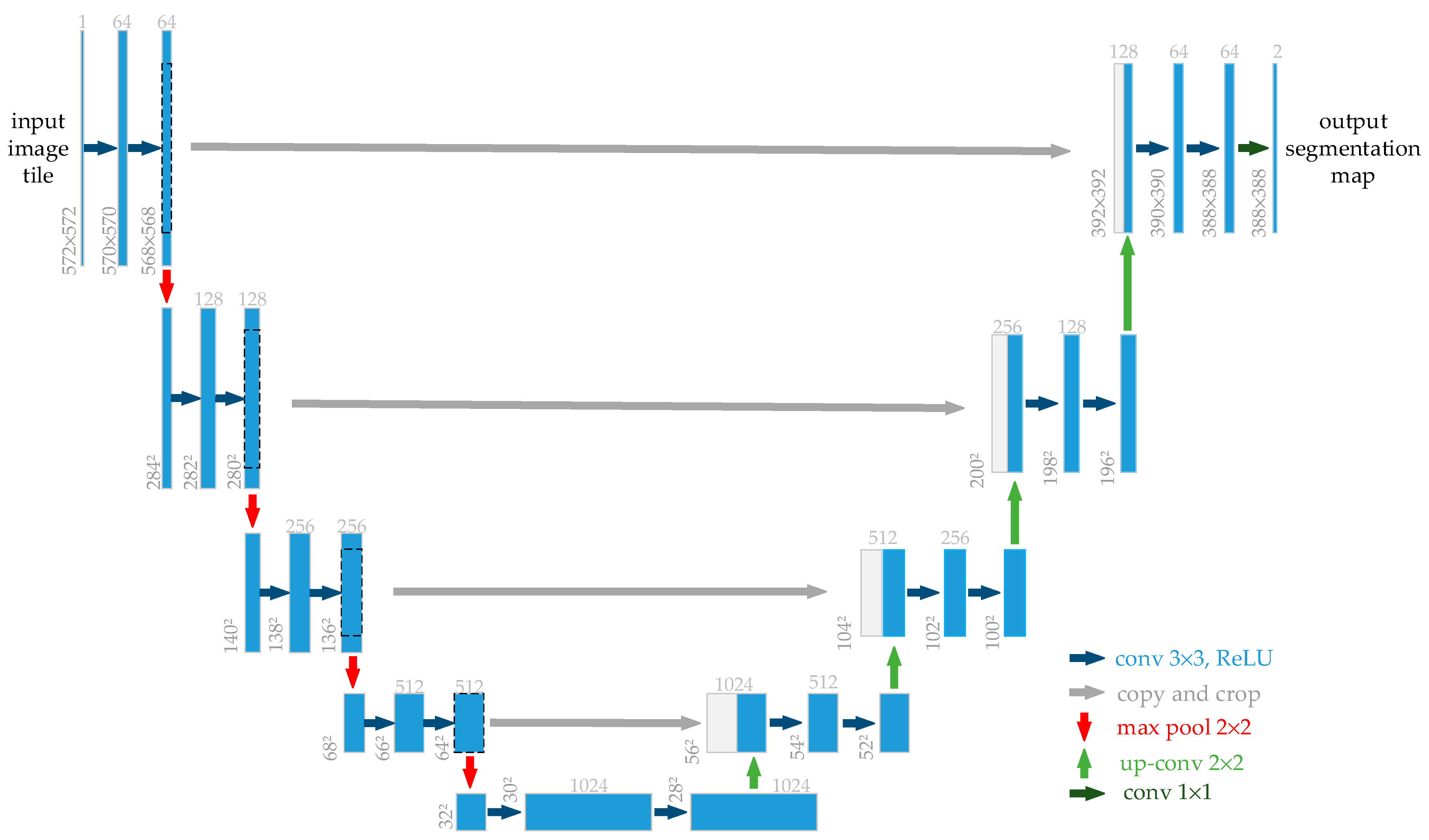 ASCU-Net: Attention Gate, Spatial and Channel Attention U-Net for Skin ...
