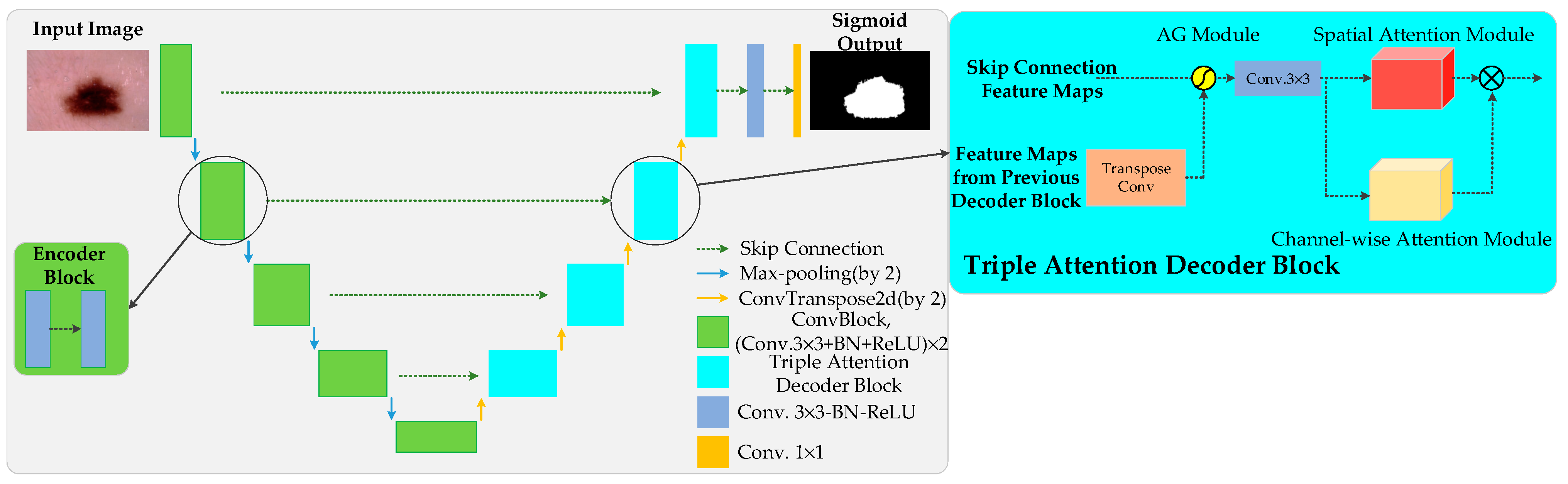 ASCU-Net: Attention Gate, Spatial and Channel Attention U-Net for Skin ...