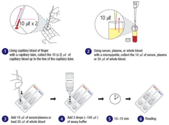 Rapid Strep Test Mechanism