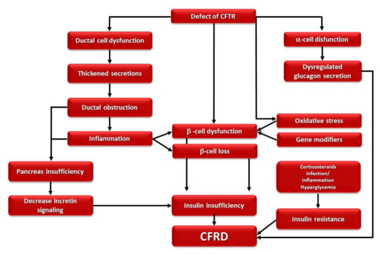 Cystic Fibrosis-Related Diabetes (CFRD): Overview of Associated Genetic ...