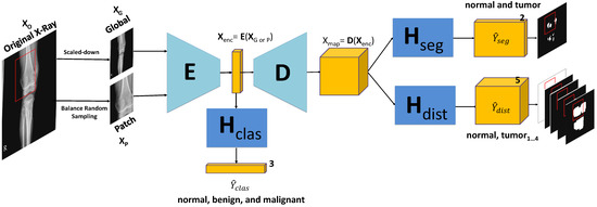 Multi-Level Seg-Unet Model with Global and Patch-Based X-ray Images for ...