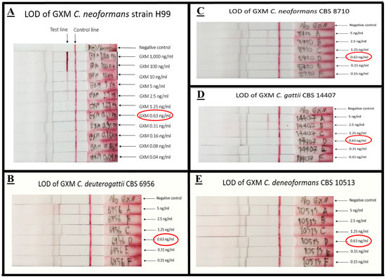 A Novel, Inexpensive In-House Immunochromatographic Strip Test for ...
