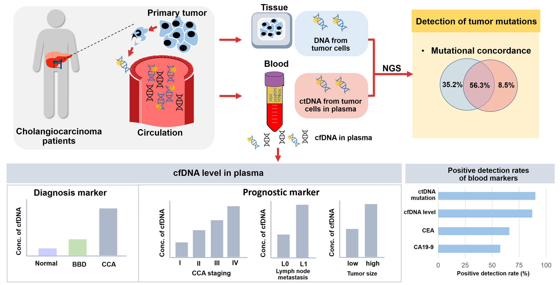 Diagnostics | Free Full-Text | Diagnostic and Prognostic Value of ...