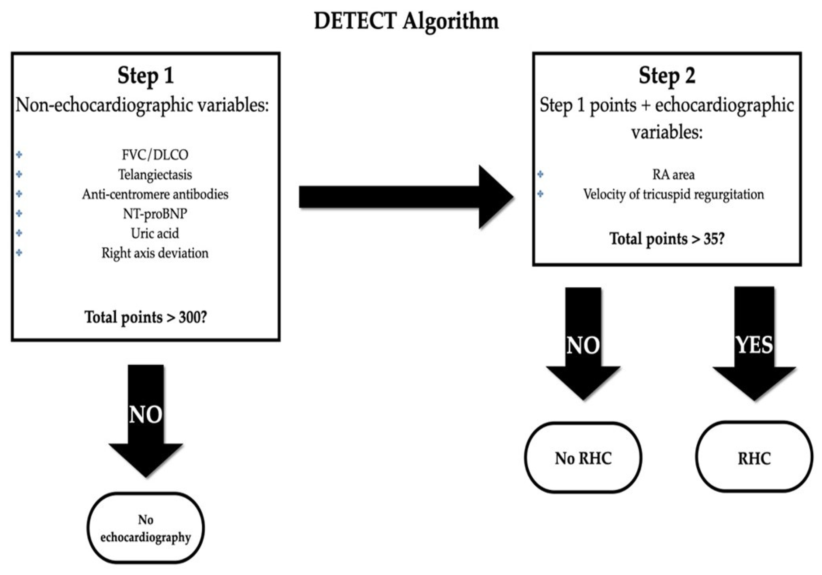 Screening for Pulmonary Hypertension in Systemic Sclerosis—A Primer for ...