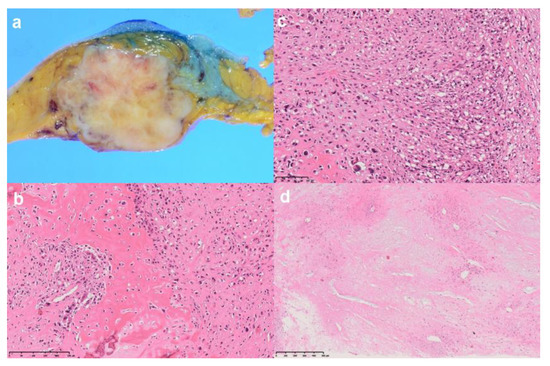 Diagnostics | Topical Collection : Interesting Images