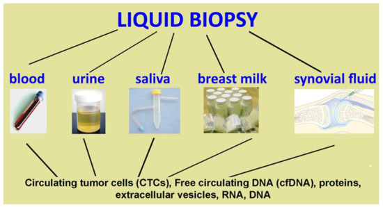 Liquid Biopsy: A Family of Possible Diagnostic Tools