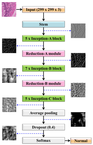 Colon Tissues Classification and Localization in Whole Slide Images ...