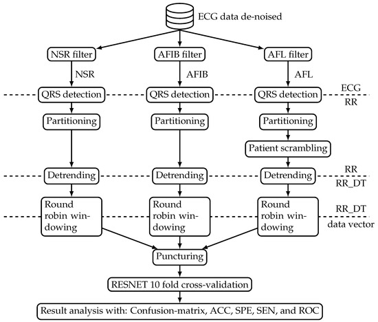 Automated Arrhythmia Detection Based on RR Intervals