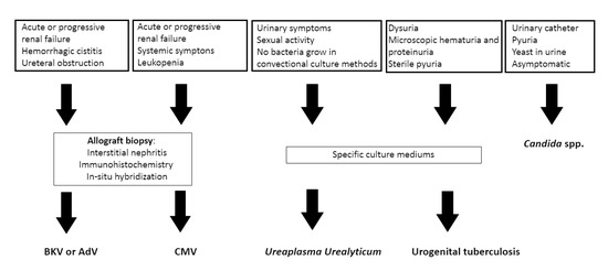 Diagnostics | Free Full-Text | A Current Review of the Etiology ...