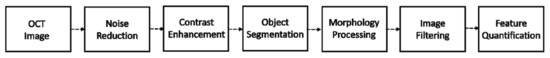 Computer-Aided Detection (CADe) System with Optical Coherent Tomography ...