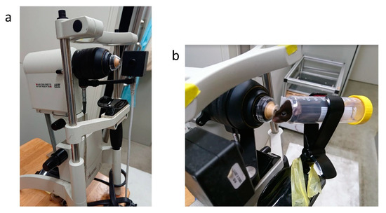 Observation of Chronic Graft-Versus-Host Disease Mouse Model Cornea ...