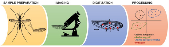 State-of-the-Art Techniques for Diagnosis of Medical Parasites and ...