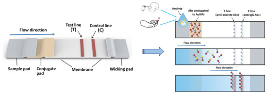 Development and Efficacy of Lateral Flow Point-of-Care Testing Devices ...