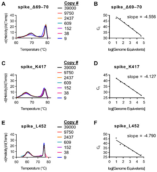 Fast SARS-CoV-2 Variant Detection Using Snapback Primer High-Resolution Melting