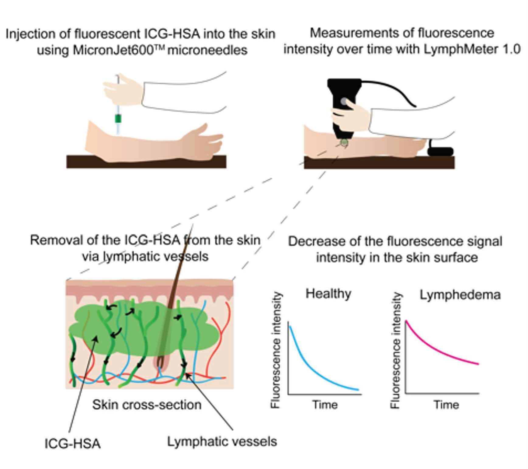 Diagnostics | Free Full-Text | Development and Clinical Validation of ...