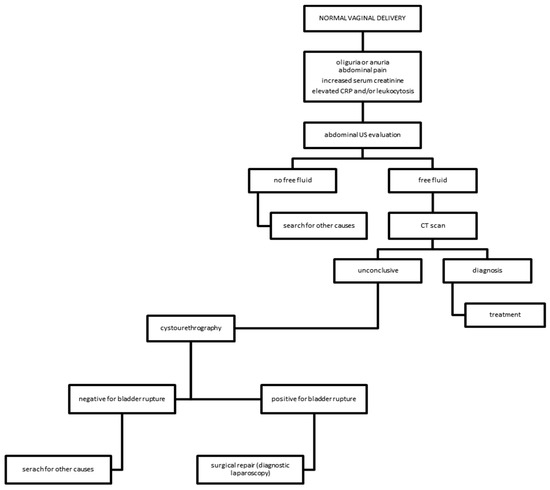 Diagnostics | Free Full-Text | Spontaneous Bladder Rupture after Normal ...