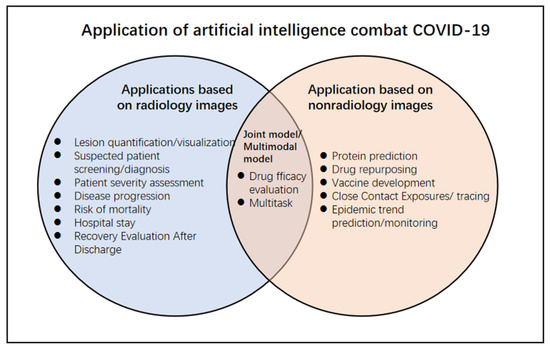 A Promising and Challenging Approach: Radiologists’ Perspective on Deep ...