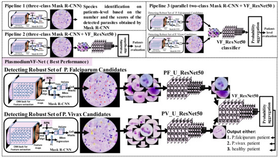 Diagnosing Malaria Patients with Plasmodium falciparum and vivax Using ...