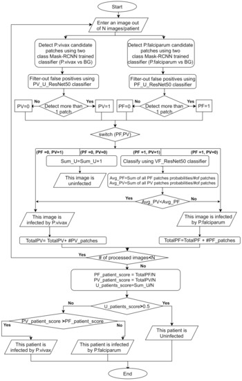 Diagnosing Malaria Patients with Plasmodium falciparum and vivax Using ...