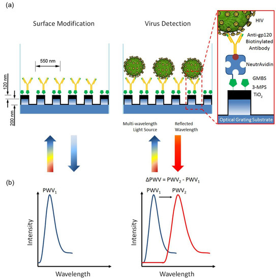 Optical Biosensors for Diagnostics of Infectious Viral Disease: A ...