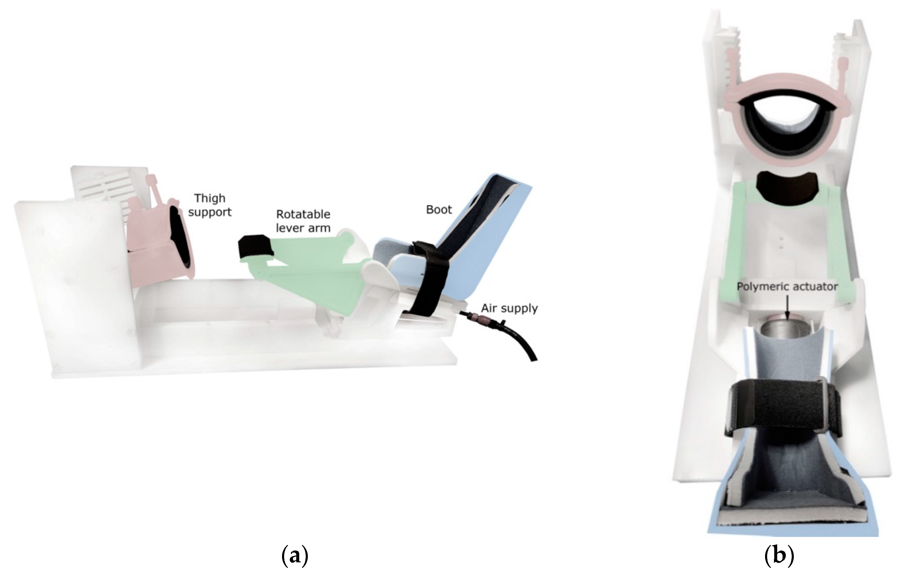 Diagnostics | Free Full-Text | Developing a Technique for the Imaging ...