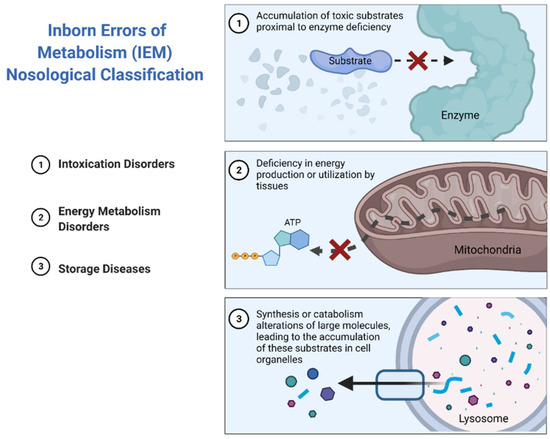 Diagnosis and Management of Inborn Errors of Metabolism in Adult ...