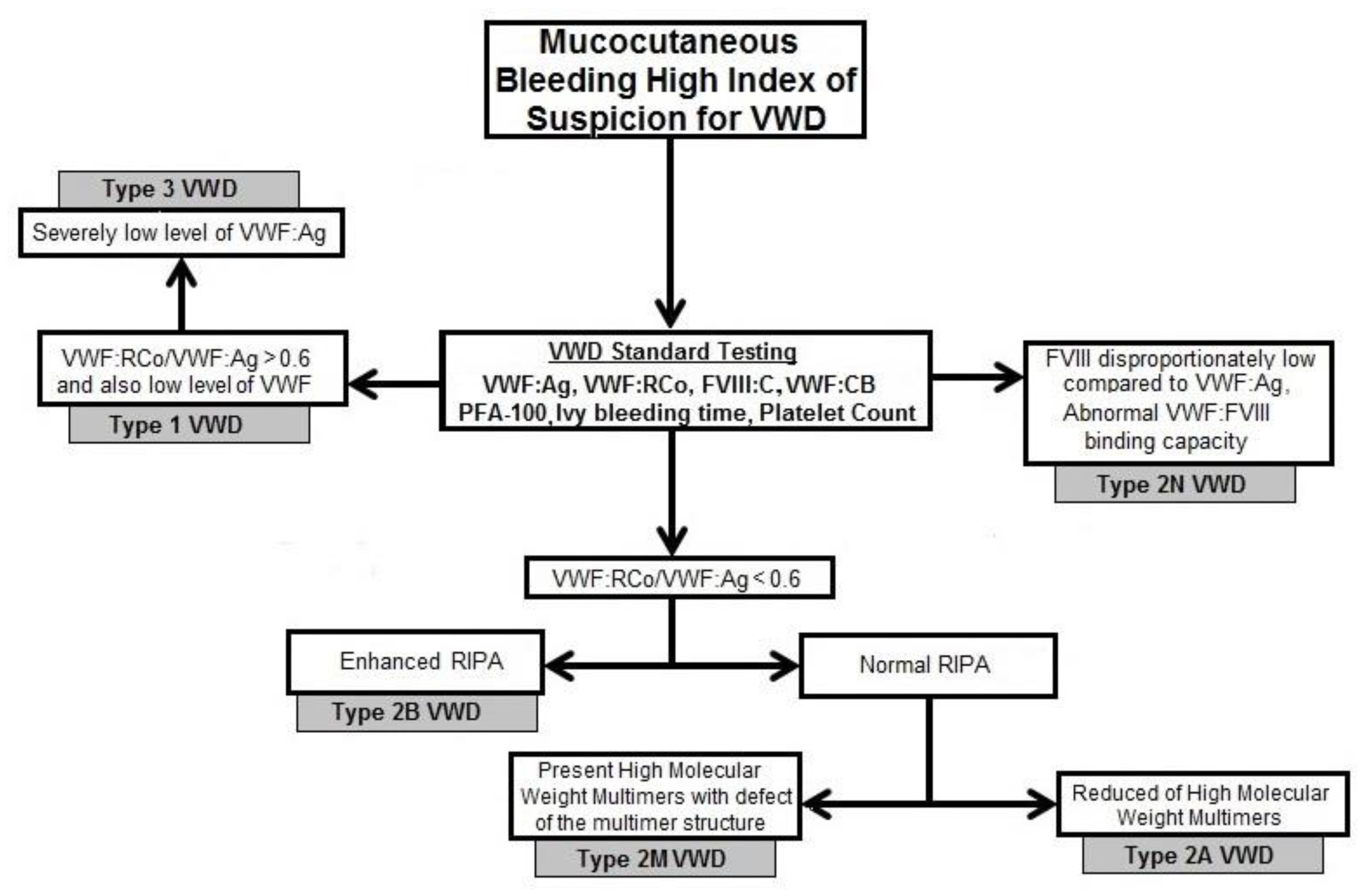 Diagnostics | Free Full-Text | Multimer Analysis of Von Willebrand ...