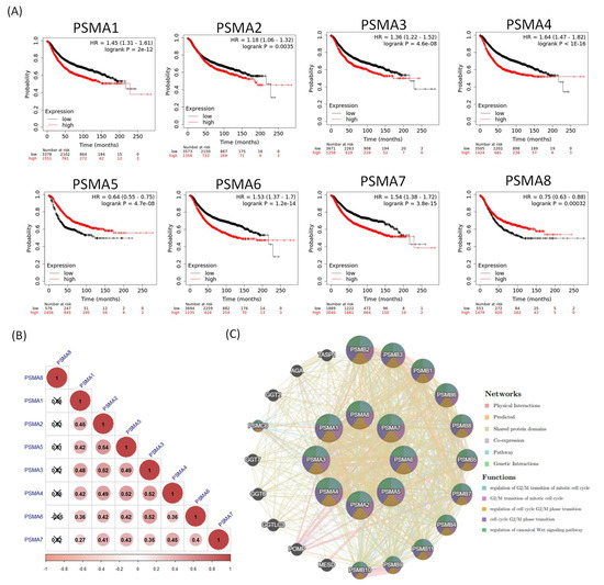 Prognostic and Genomic Analysis of Proteasome 20S Subunit Alpha (PSMA ...